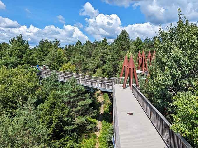 Walking among the treetops on bridges that make you feel like a kid again, minus the scraped knees.