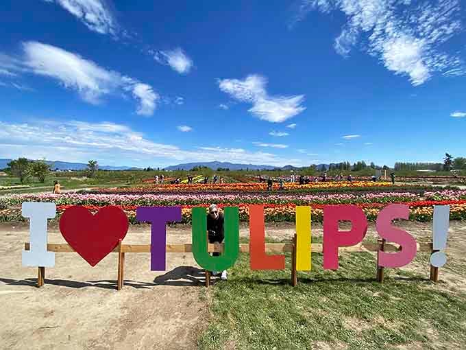 Those rainbow letters say it all&mdash;standing among endless tulip rows with mountain views feels like winning spring's lottery.
