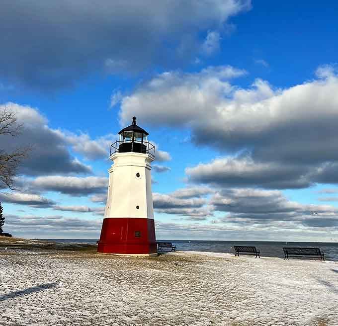The red and white color scheme pops against winter's pale landscape like a peppermint stick in snow.