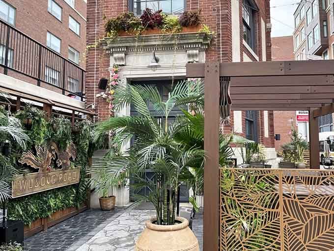 Palm trees in Cambridge? This tropical patio oasis makes you forget you're anywhere near Massachusetts winters.