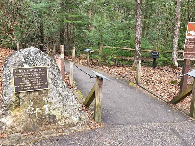 The paved path makes this waterfall accessible to everyone, proving nature shouldn't require mountain goat skills.