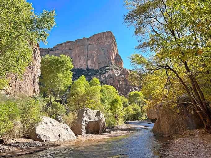 Sunlight filters through the narrow canyon creating a green oasis that feels like discovering Shangri-La in the Arizona desert.