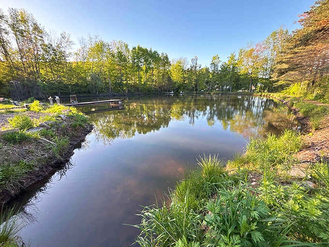 That mirror-smooth pothole reflects sky and trees, making you wonder which way is actually up anymore.