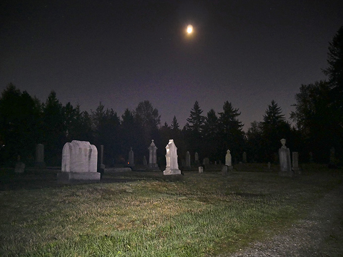 Moonlight casts an ethereal glow over marble monuments, creating shadows that dance between the trees like whispered secrets.