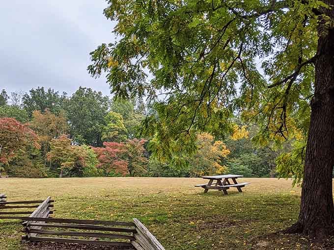 That perfect picnic spot under ancient trees where autumn whispers its colorful secrets across the grass.