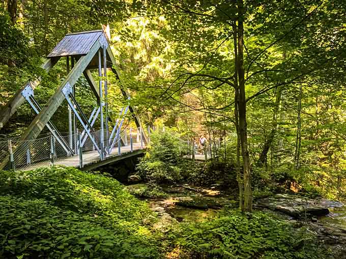 Sunlight filters through the forest canopy to this charming footbridge, nature's own cathedral with a babbling brook soundtrack.
