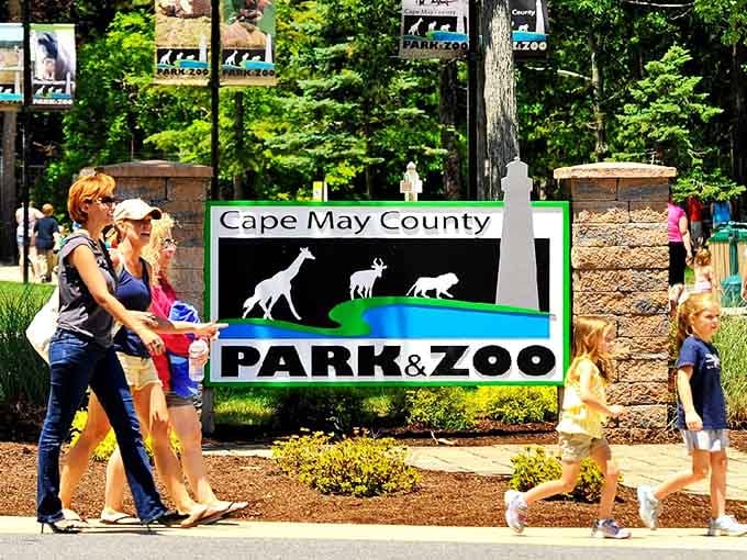 Families stream through the entrance on a perfect sunny day, heading toward animal encounters that somehow don't require an entrance fee.