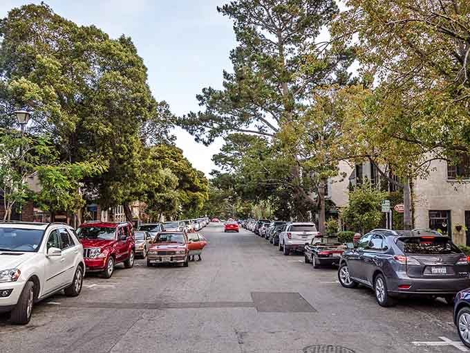 Canopy of green overhead shelters a street where neighbors still pause to chat and time moves differently.