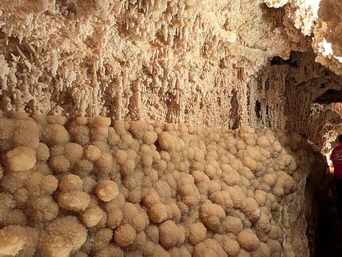 Nature's popcorn ceiling took millions of years to perfect, and honestly, it shows in every delicate detail here.