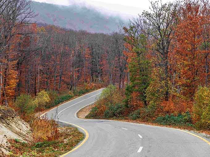 These serpentine curves through misty forests prove that getting there really is half the fun.