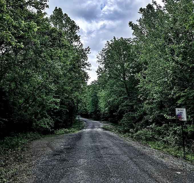 Storm clouds gather overhead as the lonely road disappears into woods thick with mystery and legend.