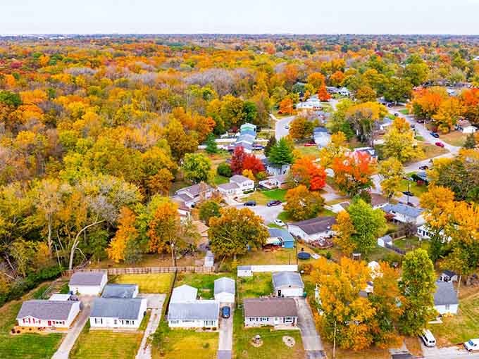 Fall transforms neighborhoods into a painter's palette, with every tree competing for the most spectacular color display imaginable.