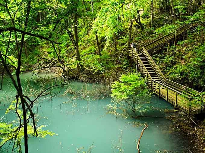 Those 232 steps lead you into a natural bowl where waterfalls trickle down limestone walls year-round.