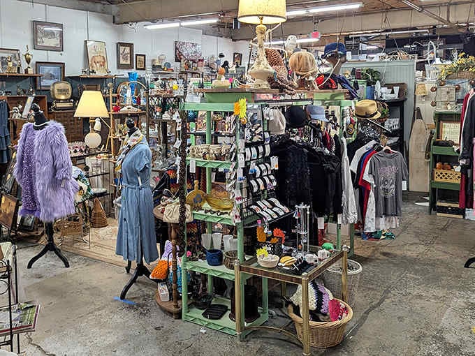 Inside, it's like stepping into your stylish grandmother's attic, if she had impeccable taste and collected everything fabulous.