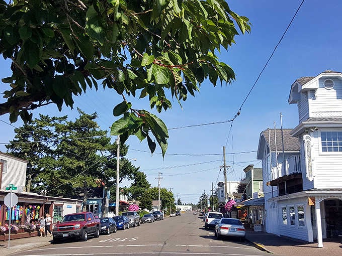 Lush trees frame this coastal street where the ocean breeze carries the scent of salt and possibility.