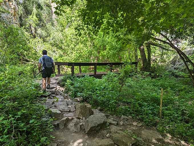 Into the green tunnel we go, where rocky steps lead adventurers toward the sound of rushing water ahead.