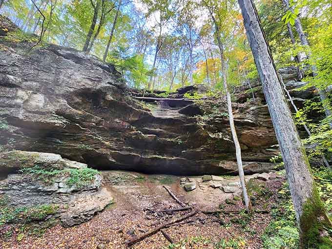 These layered cliff walls rise like ancient apartment buildings, each floor telling stories from millions of years past.