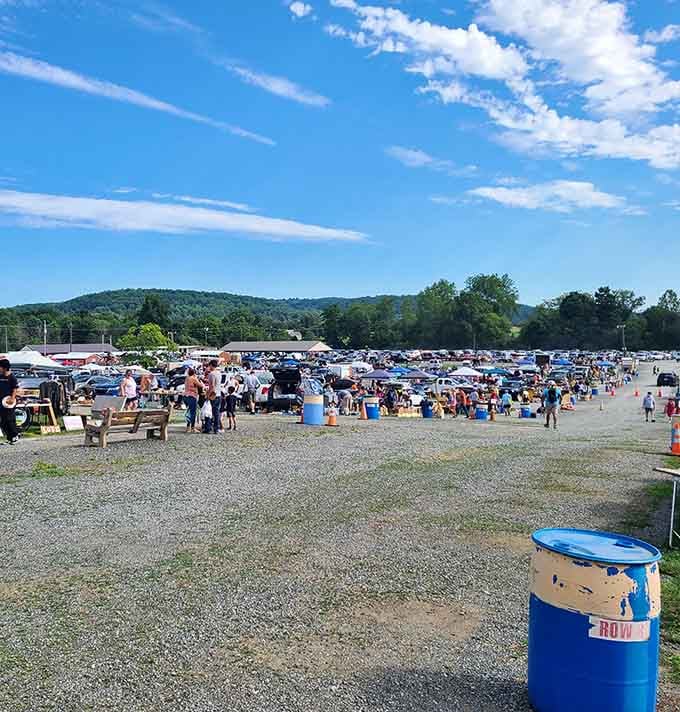 Mountains frame the horizon while hundreds of vendors transform this open space into a treasure hunter's dream destination.