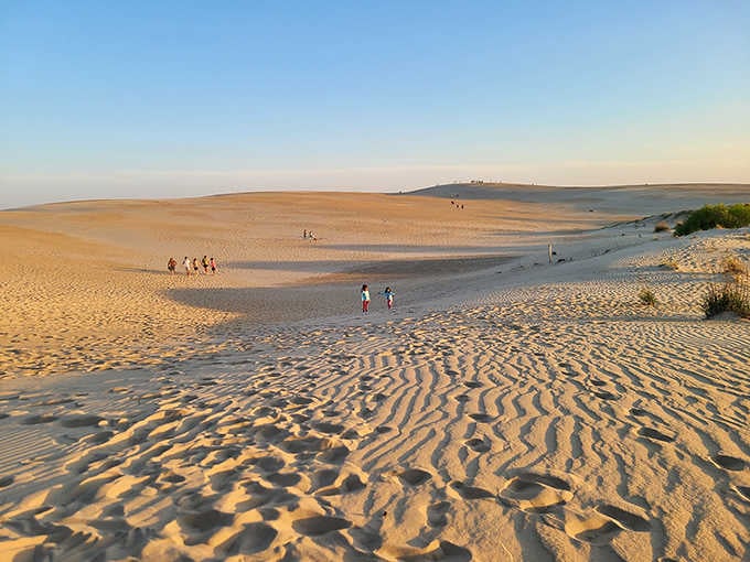Golden hour turns these massive dunes into nature's own sculpture garden, complete with rippled masterpieces.