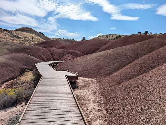 That boardwalk leads you into what looks like a Bob Ross painting come to life, minus the happy trees.
