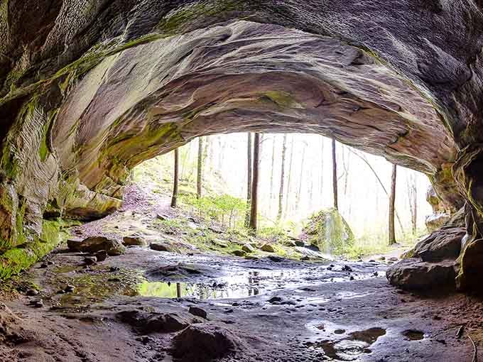 The stone ceiling curves overhead like a cathedral designed by time itself, with a creek running down the aisle.