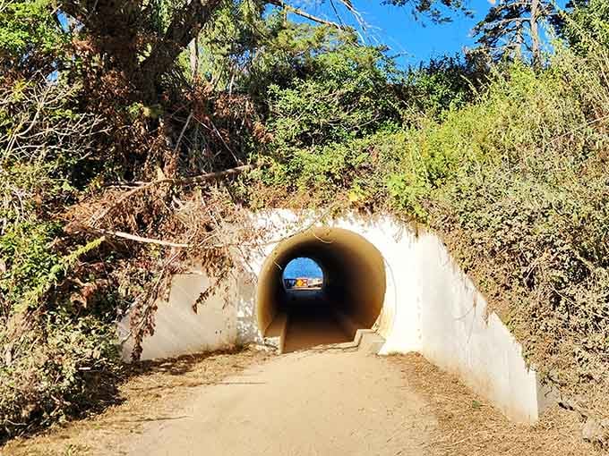 Walking through this tunnel feels like entering Narnia, except you emerge to California sunshine instead of snow.