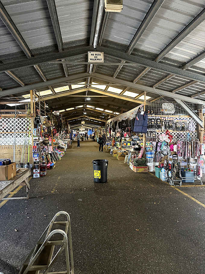 That "No Pets on Walkway" sign means business, but the endless aisles of treasures mean pure shopping pleasure.