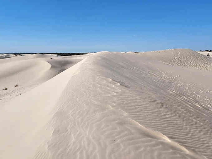 Wind-sculpted ridges pattern the sand like nature's fingerprints, inviting you to leave your own mark.