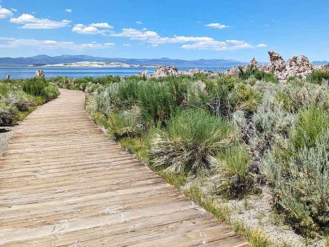 The boardwalk leads you through sagebrush to limestone spires rising from water saltier than your uncle's jokes.