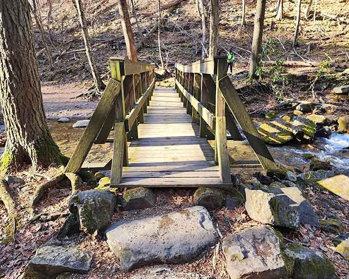 This charming wooden bridge crosses babbling waters, inviting you deeper into a forest that whispers peaceful secrets.