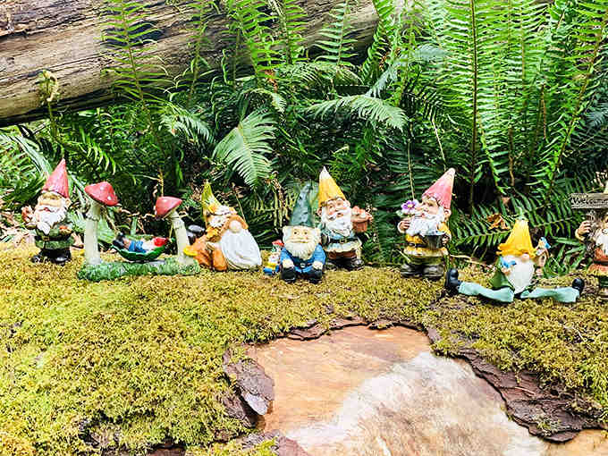 This gnome gathering looks like the world's most adorable town hall meeting among the forest ferns.