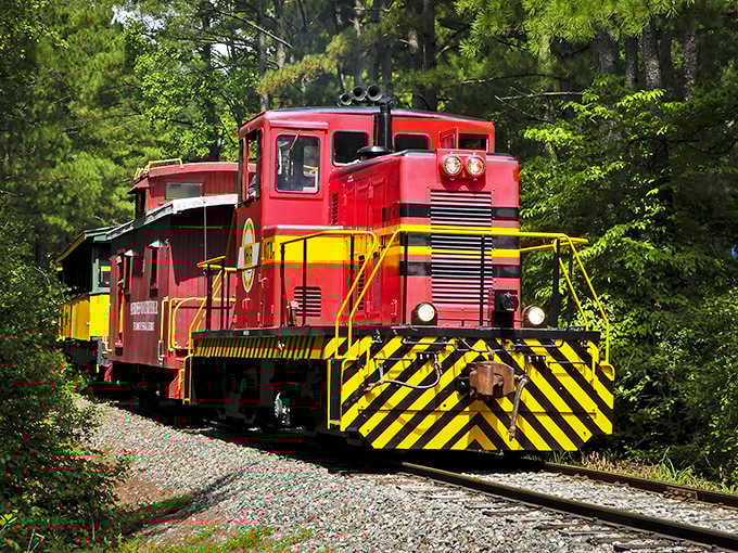 Bright red with yellow accents, this locomotive isn't shy about announcing its arrival through the pine trees.