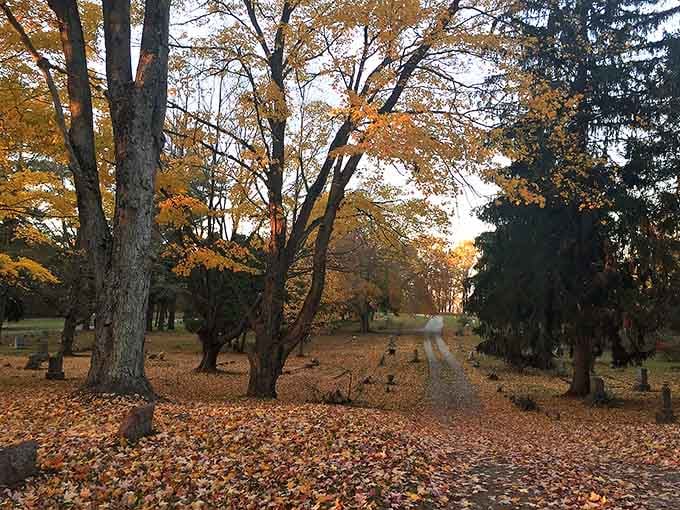 That fiery sunset glow through the trees creates an otherworldly atmosphere you won't soon forget.