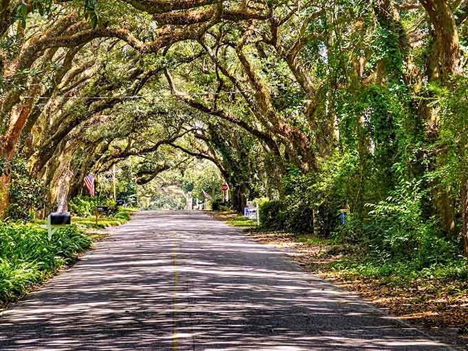This tunnel of intertwined branches proves that the best architecture sometimes requires zero blueprints.