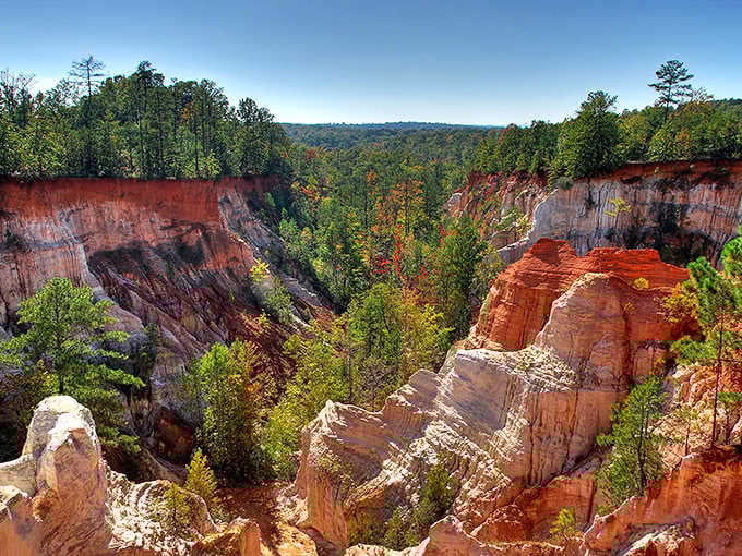 The canyon walls glow in the afternoon light, proving Georgia can rival Arizona any day of the week.