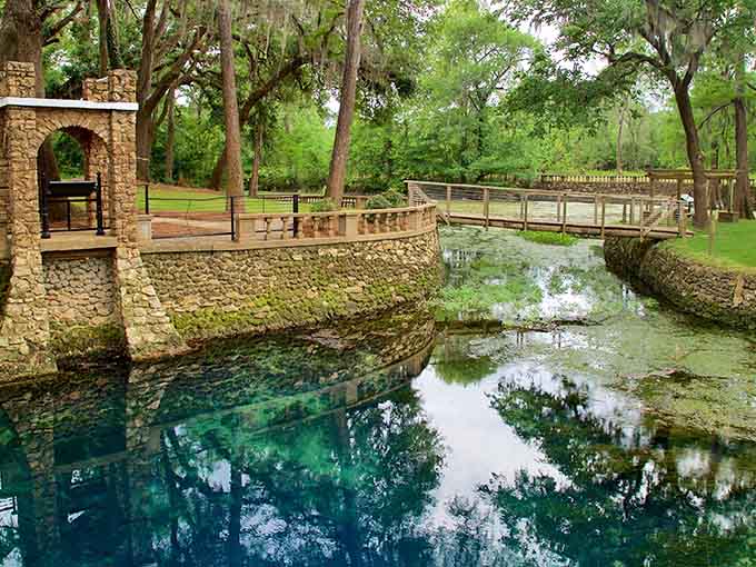 Stone bridges and Spanish moss create a scene straight out of a Southern Gothic novel, minus the drama.