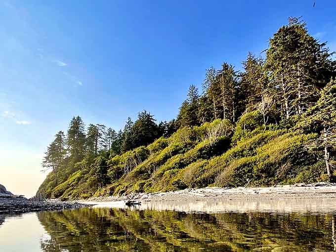 This emerald hillside meets the ocean in perfect harmony, creating reflections that rival any fancy resort's infinity pool.
