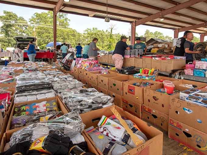 Rows of cardboard boxes overflow with possibilities&mdash;because sometimes the best deals come in the simplest packaging.