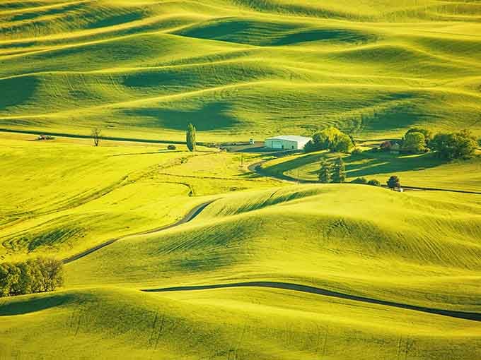 Golden harvest fields ripple across hills in patterns that would make any quilter jealous of nature's handiwork.
