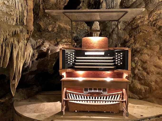 The warm glow illuminates this remarkable instrument that turns an entire cavern into one giant concert hall.