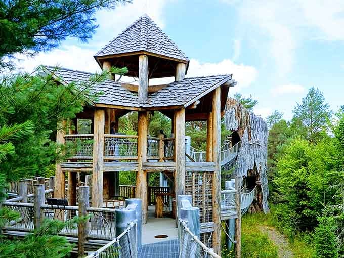 This whimsical treehouse structure proves adults can have recess too, complete with bird's-eye views and wonder.