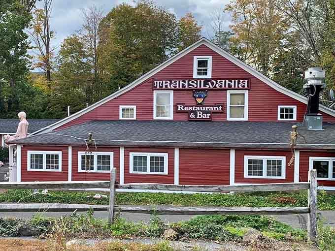 Behind that rustic wooden fence lies authentic Eastern European flavors that transport you straight to Transylvania's countryside kitchens.
