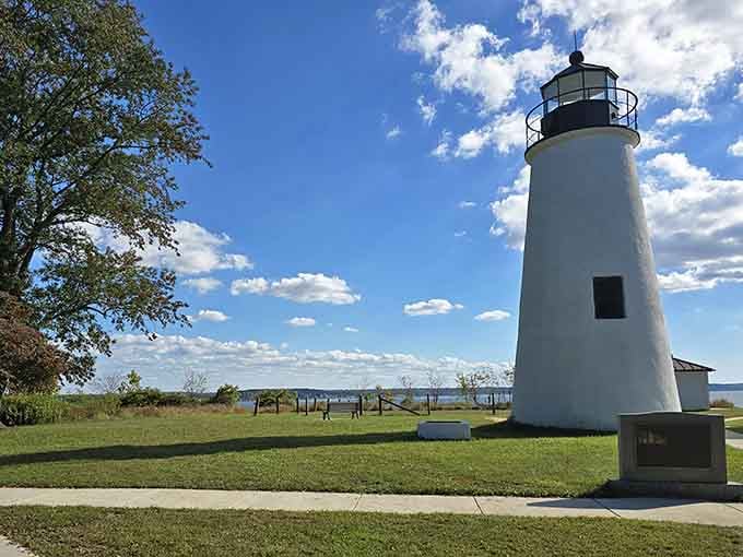 Pure blue skies frame this graceful beacon, a postcard-perfect scene that proves Maryland's beauty extends far beyond the crab shacks.