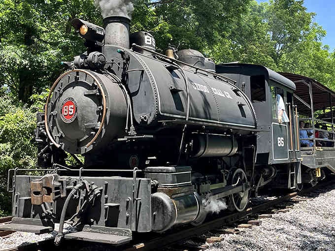 This gleaming black beauty rests beneath summer trees, polished and proud as any locomotive you've ever seen in photographs.