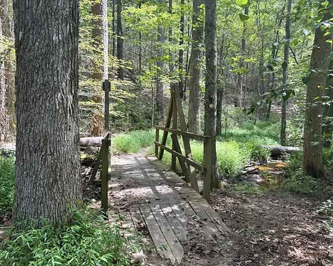 A rustic bridge with simple railings spans the water, proving that nature's best moments need no fancy decorations.