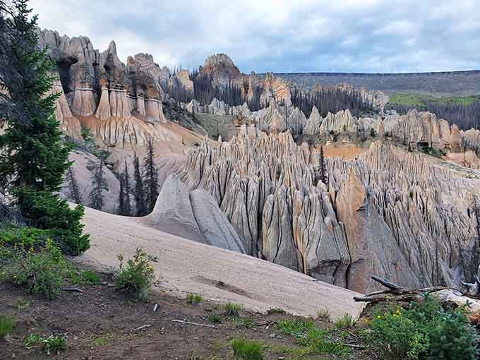 Mother Nature's sculpture garden stands frozen in time, carved by wind and water into otherworldly formations.