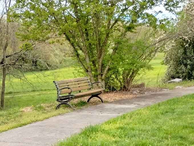 Perfect spot to contemplate what those brave militiamen were thinking before their legendary march to Kings Mountain.