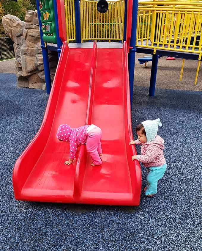 Double the slides means double the giggles, and those little ones have clearly figured out the formula.