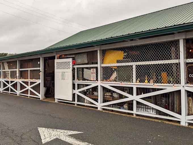 When your antique mall needs chicken wire to protect the treasures, you know things are getting serious.