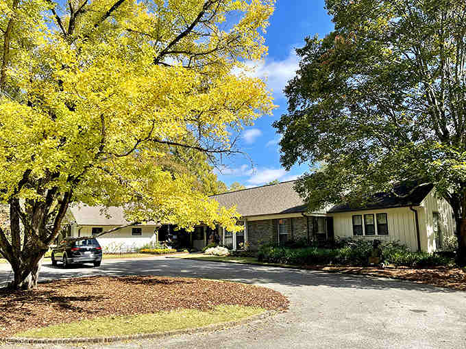 The visitor center blends so naturally into the landscape, you'd think it grew here alongside the trees.